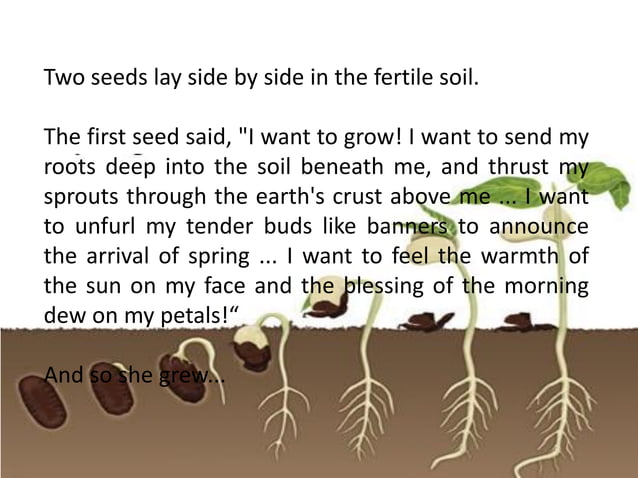 Train the trainer | PDF