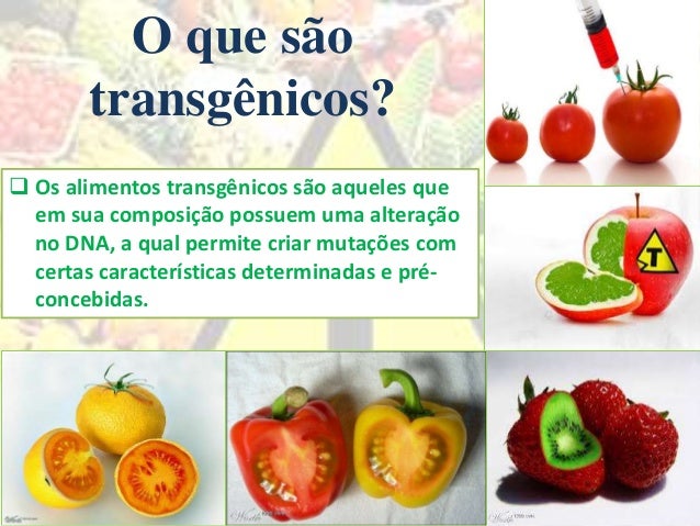 Alimentos Trangênicos