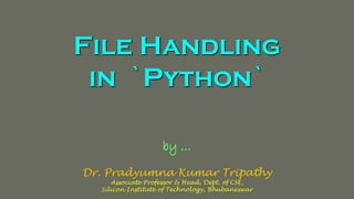 Python-File handling-slides-pkt | PPT
