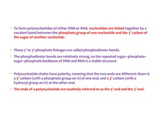 tttt.pptx | Free Download