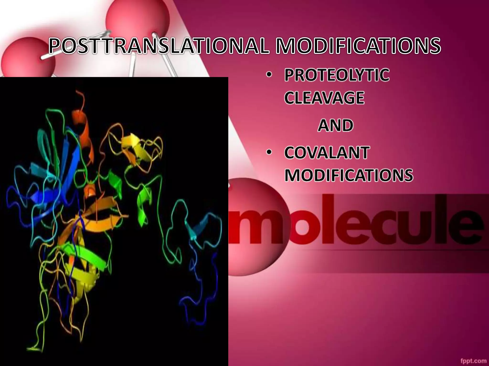 Post-Translational Modification | PPTX