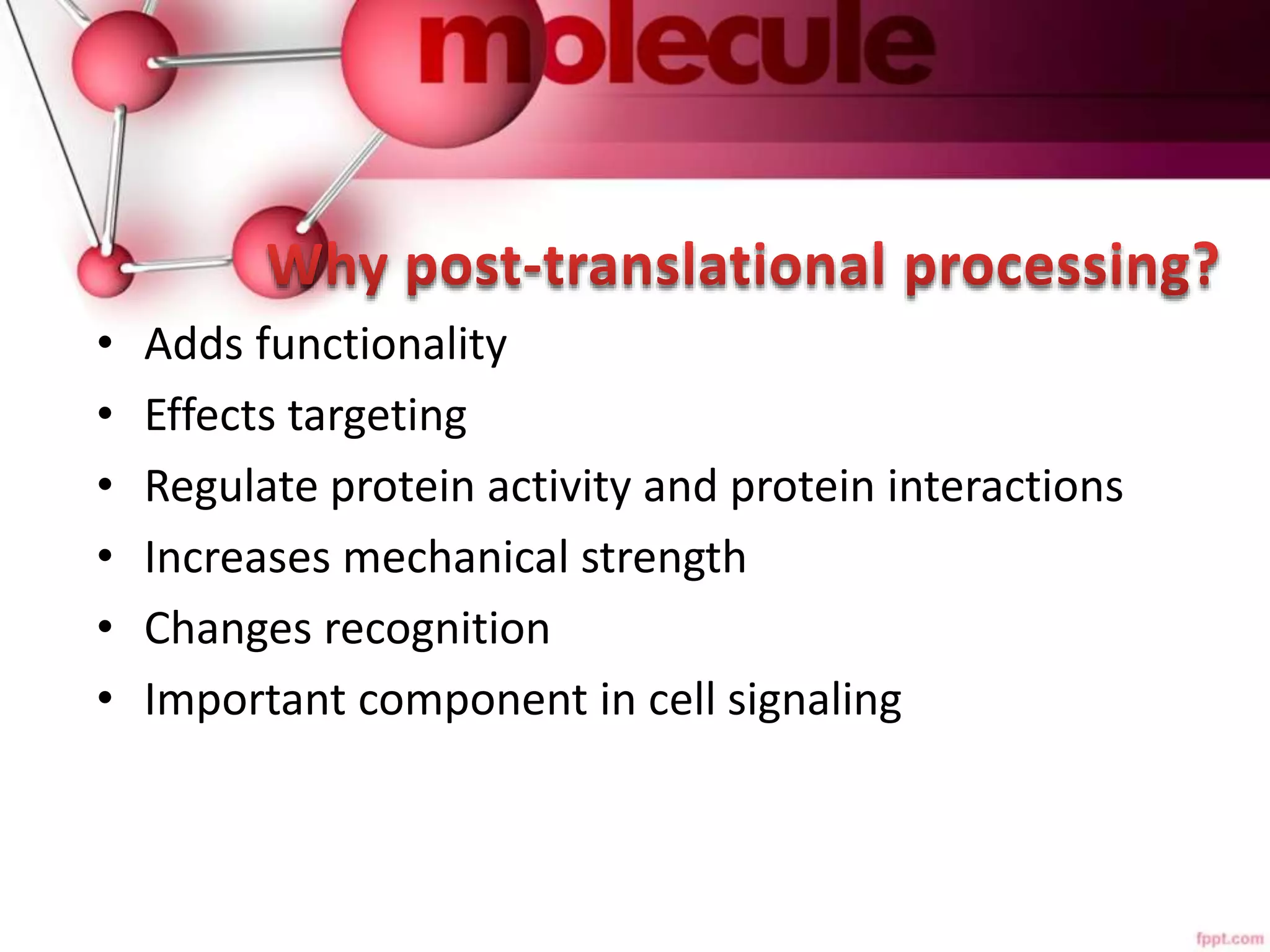 Post-Translational Modification | PPTX