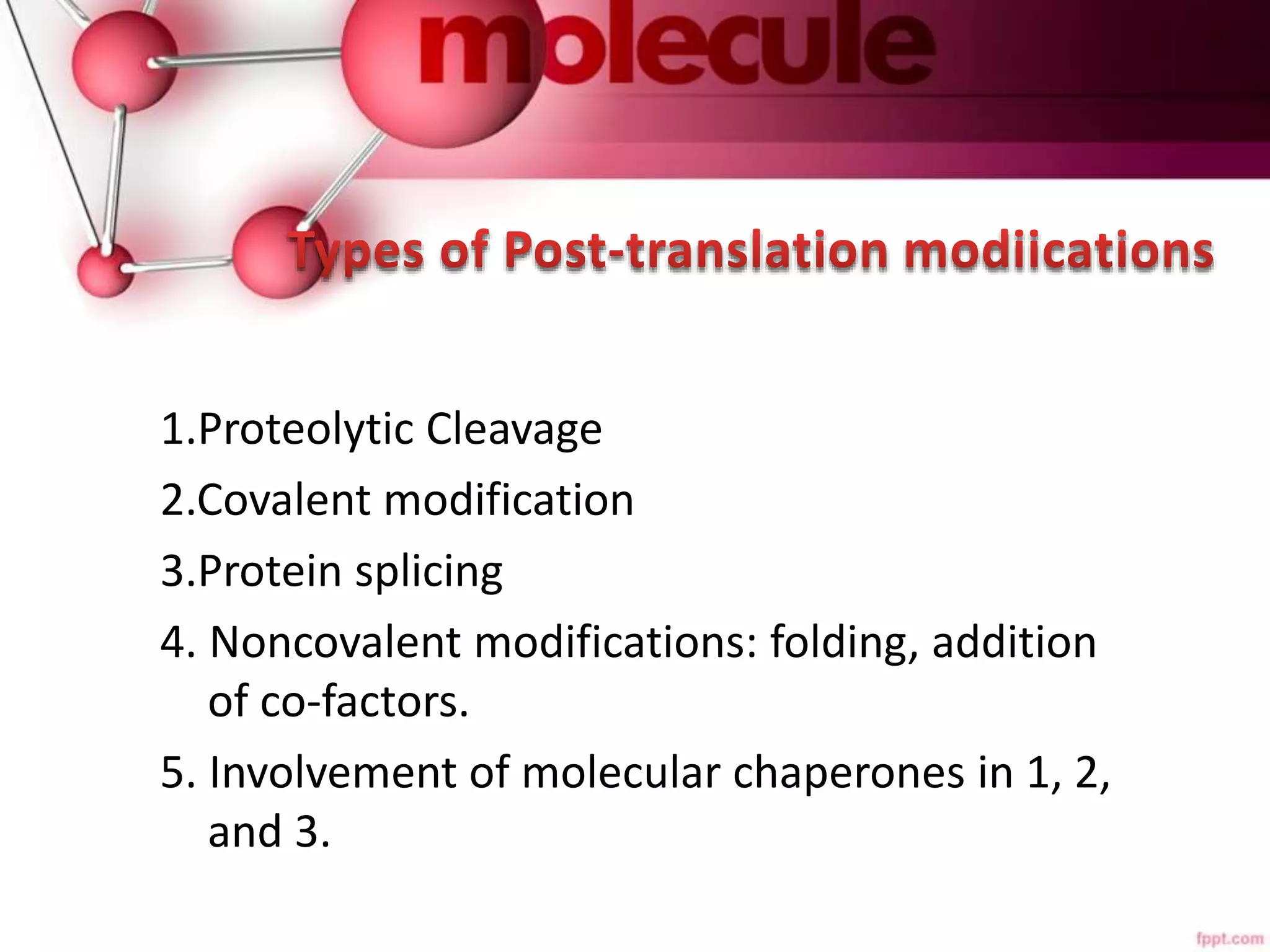 Post-Translational Modification | PPTX