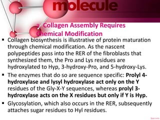 Post-Translational Modification | PPTX