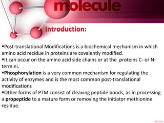 Post-Translational Modification | PPTX