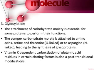 Post-Translational Modification | PPTX