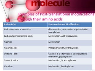 Post-Translational Modification | PPTX