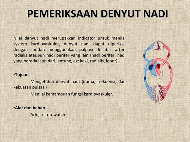 Pemeriksaan Tanda-Tanda Vital (Vital Sign) | PPT