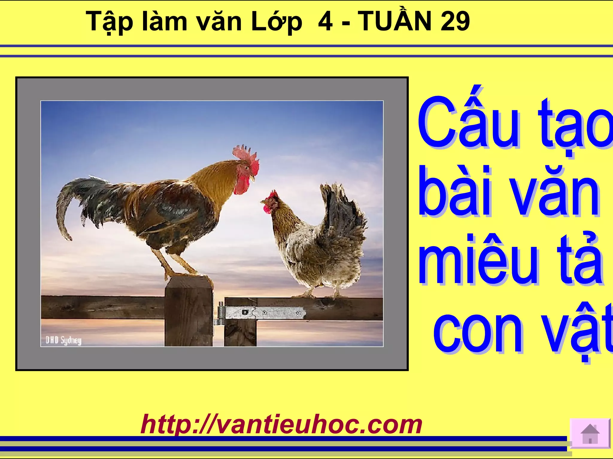 Tuan 29 cau tao bai van mieu ta con vat | PPT