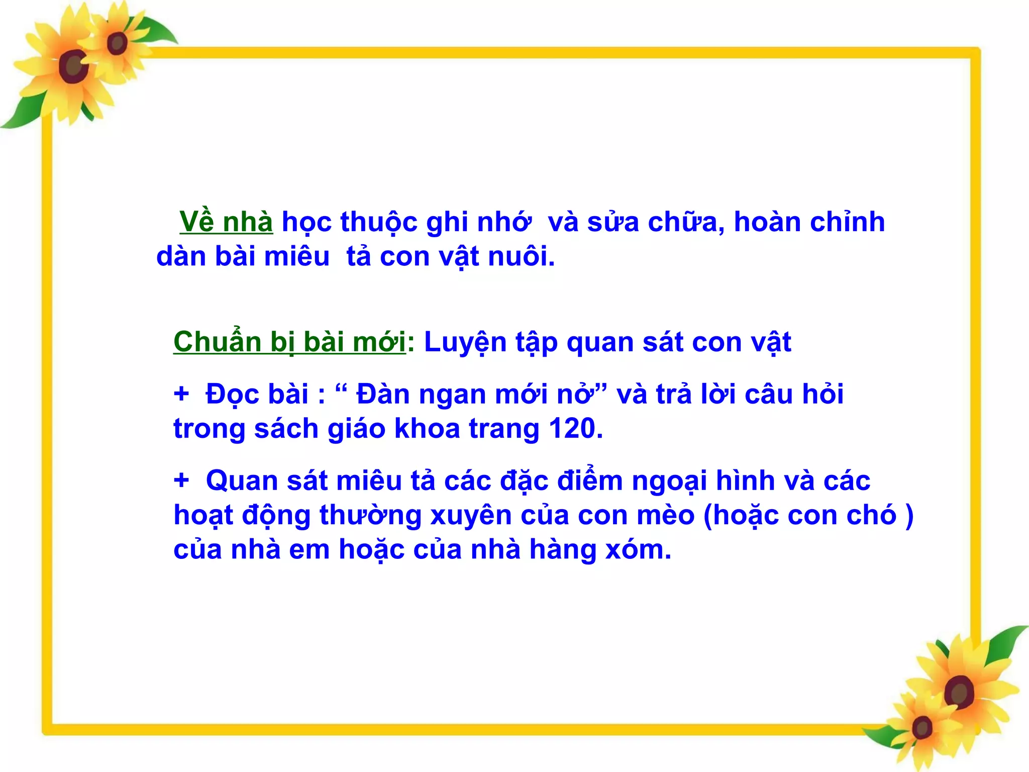 Tuan 29 cau tao bai van mieu ta con vat | PPT