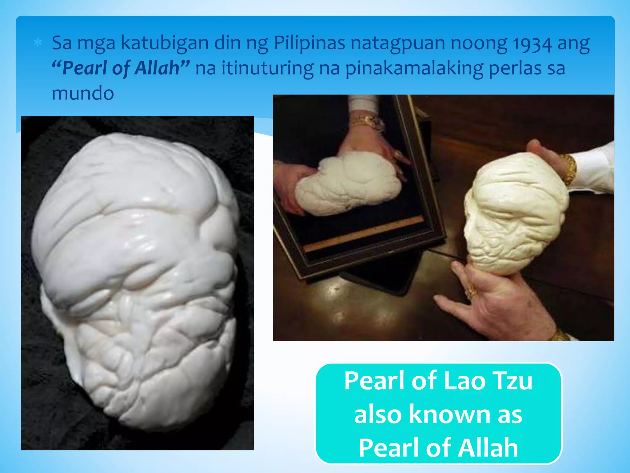 Yamang Tubig sa Pilipinas | PPTX