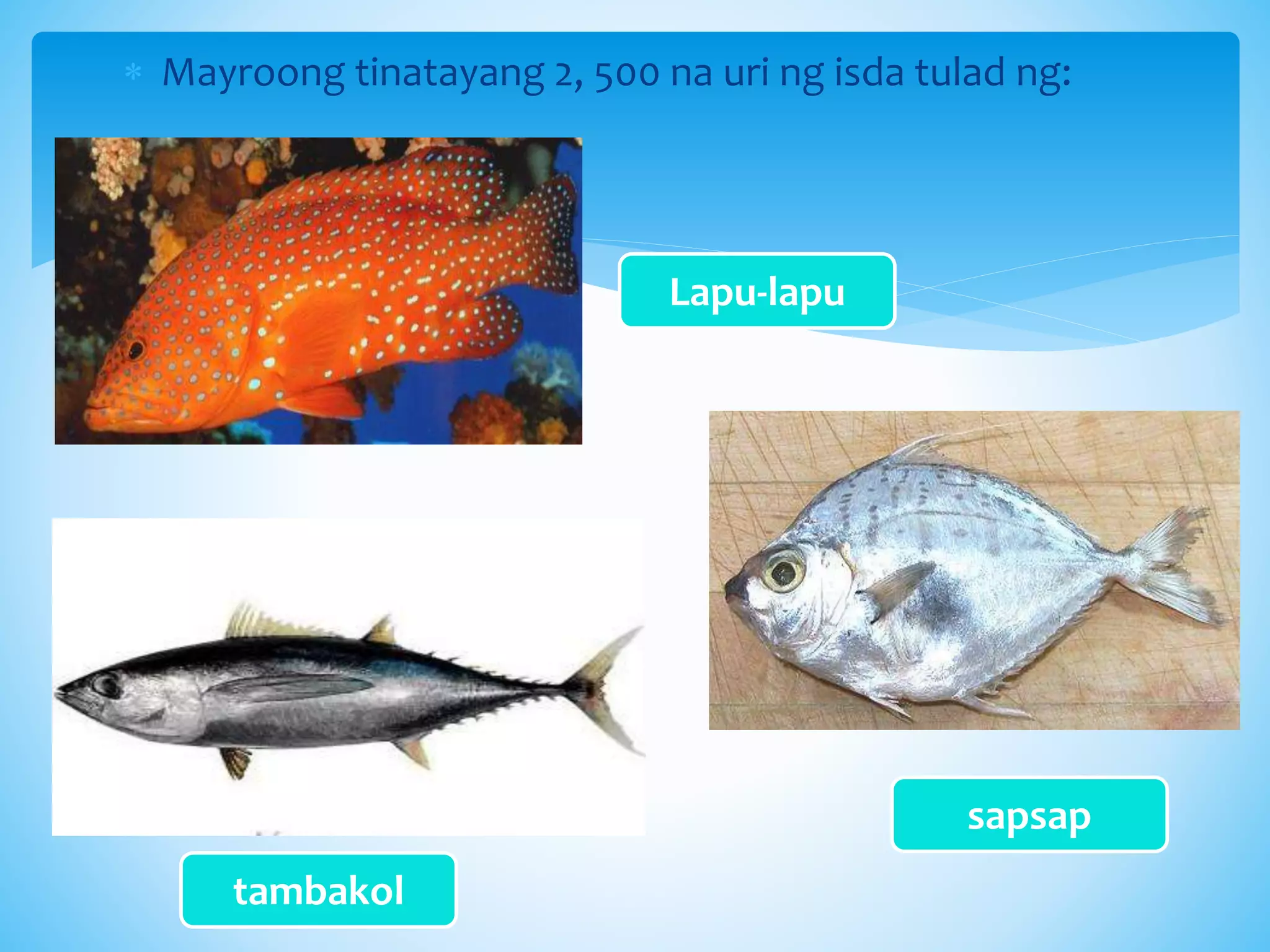 Yamang Tubig sa Pilipinas | PPTX