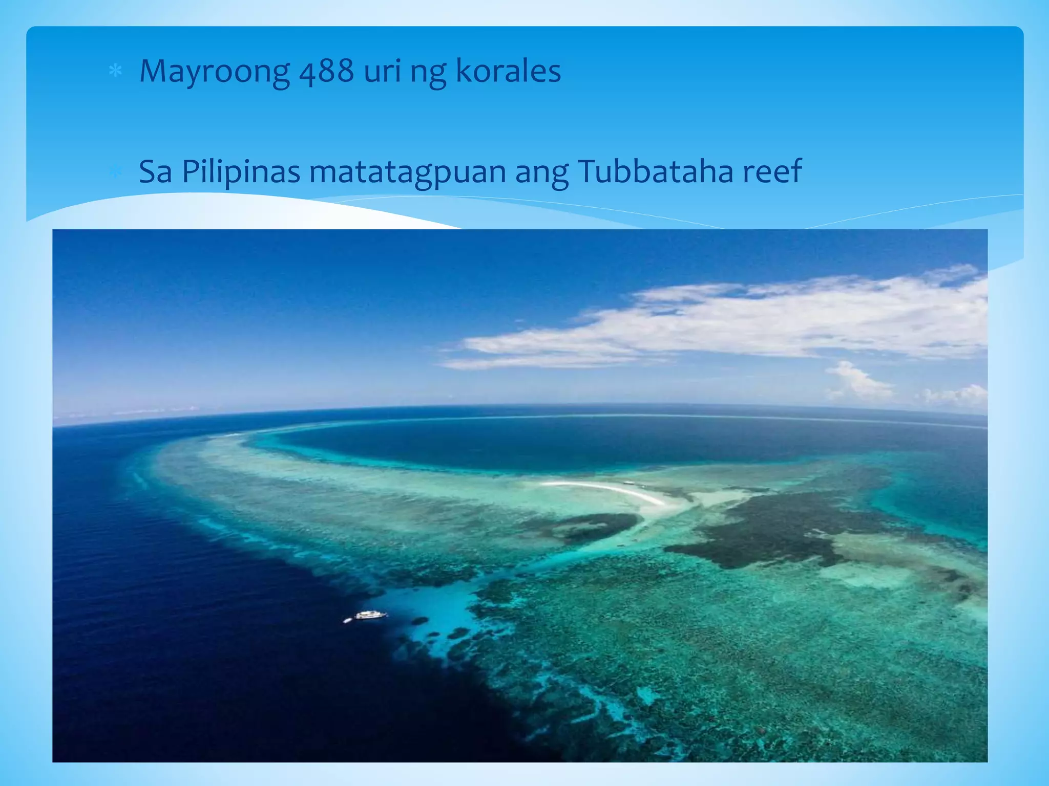 Yamang Tubig sa Pilipinas | PPTX