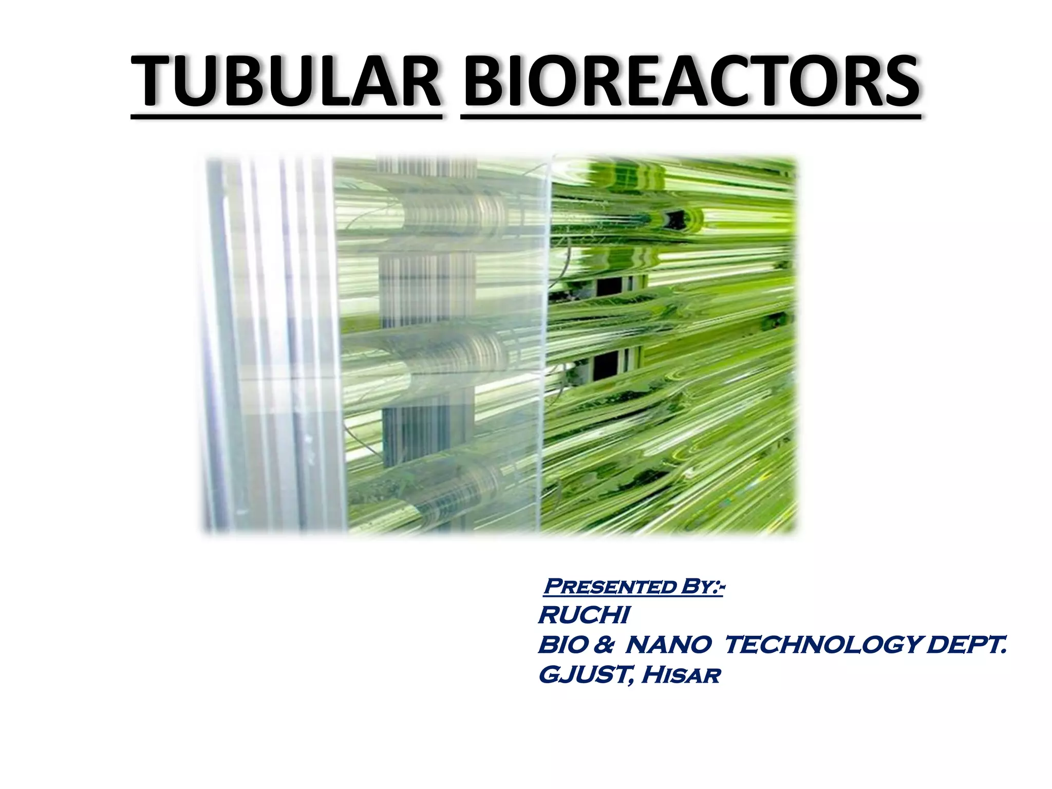 Tubular Bioreactors | PDF