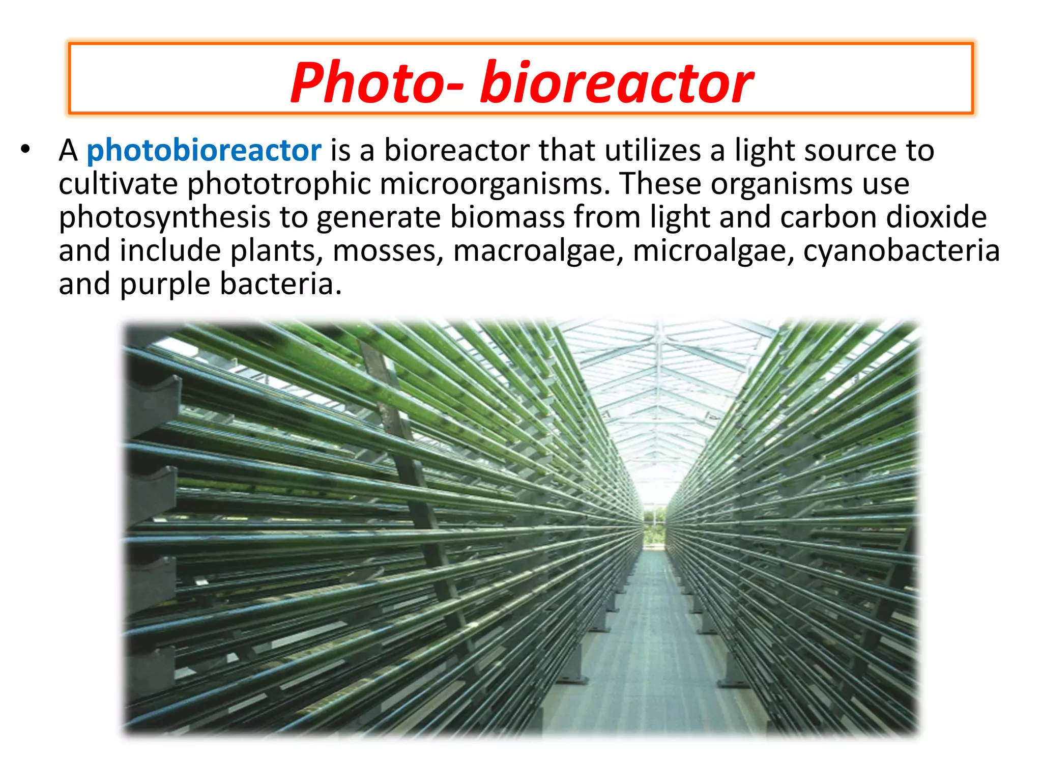 Tubular Bioreactors | PDF