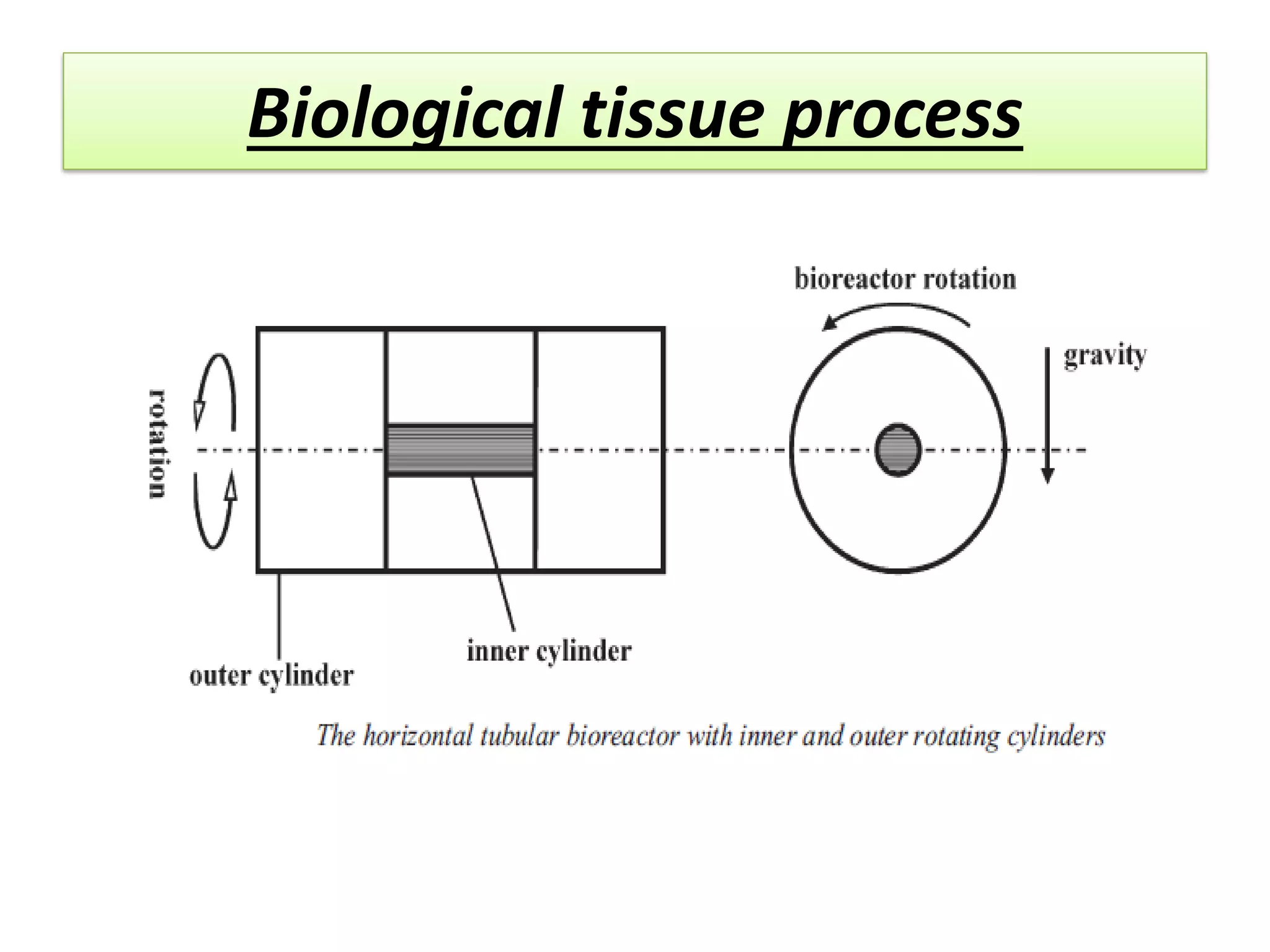Tubular Bioreactors | PDF