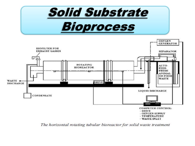 Tubular Bioreactors | PDF | Biotech and Biomedical Industry | Industries