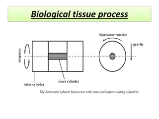 Tubular Bioreactors | PDF