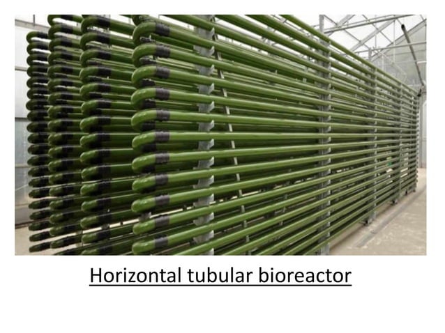 Tubular Bioreactors | PDF | Biotech and Biomedical Industry | Industries