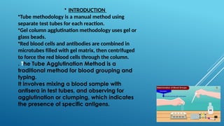 TUBE METHOD BLOOD GROUP. abo rh postitivepptx | PPTX