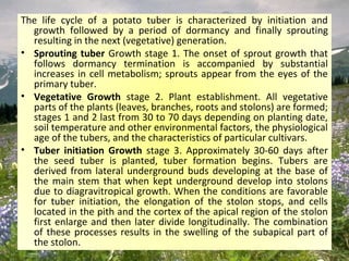 Perbanyakan Vegetatif, Tuber | PPT