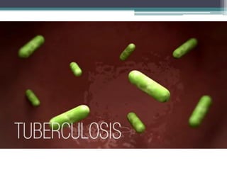Aula em slides de Tuberculose 2023 v.2.pdf