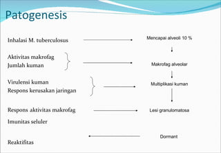 Tuberculosis | PPT