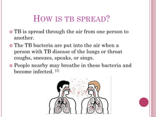 Tuberculosis | PPTX | Infectious Diseases | Diseases and Conditions