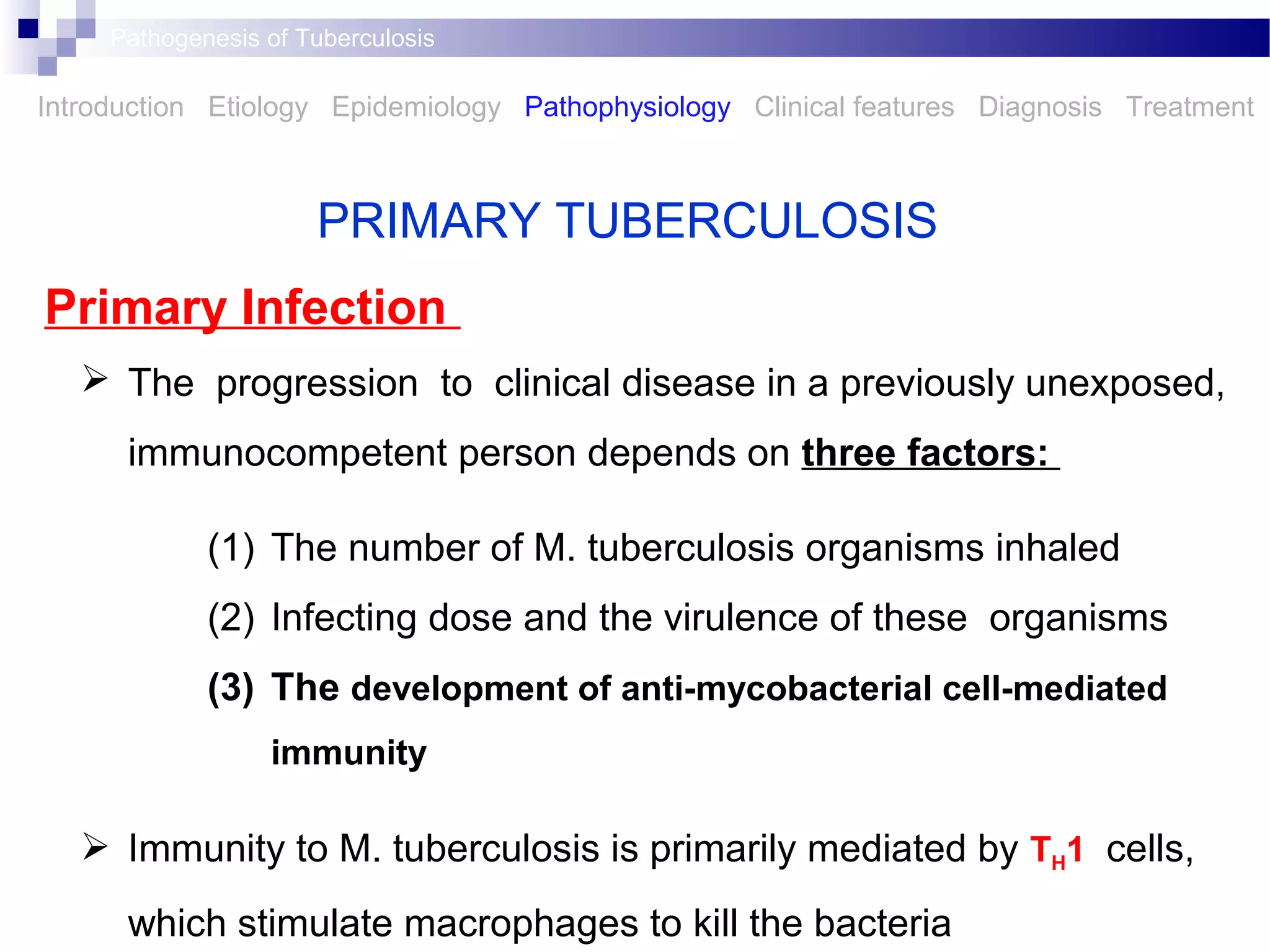 Pathogenesis of tuberculosis | PPT