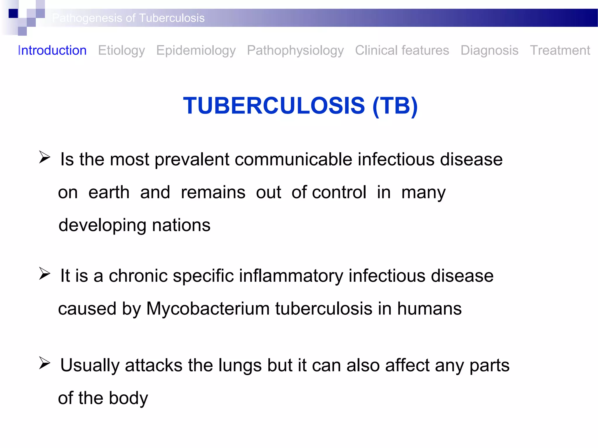 Pathogenesis of tuberculosis | PPT