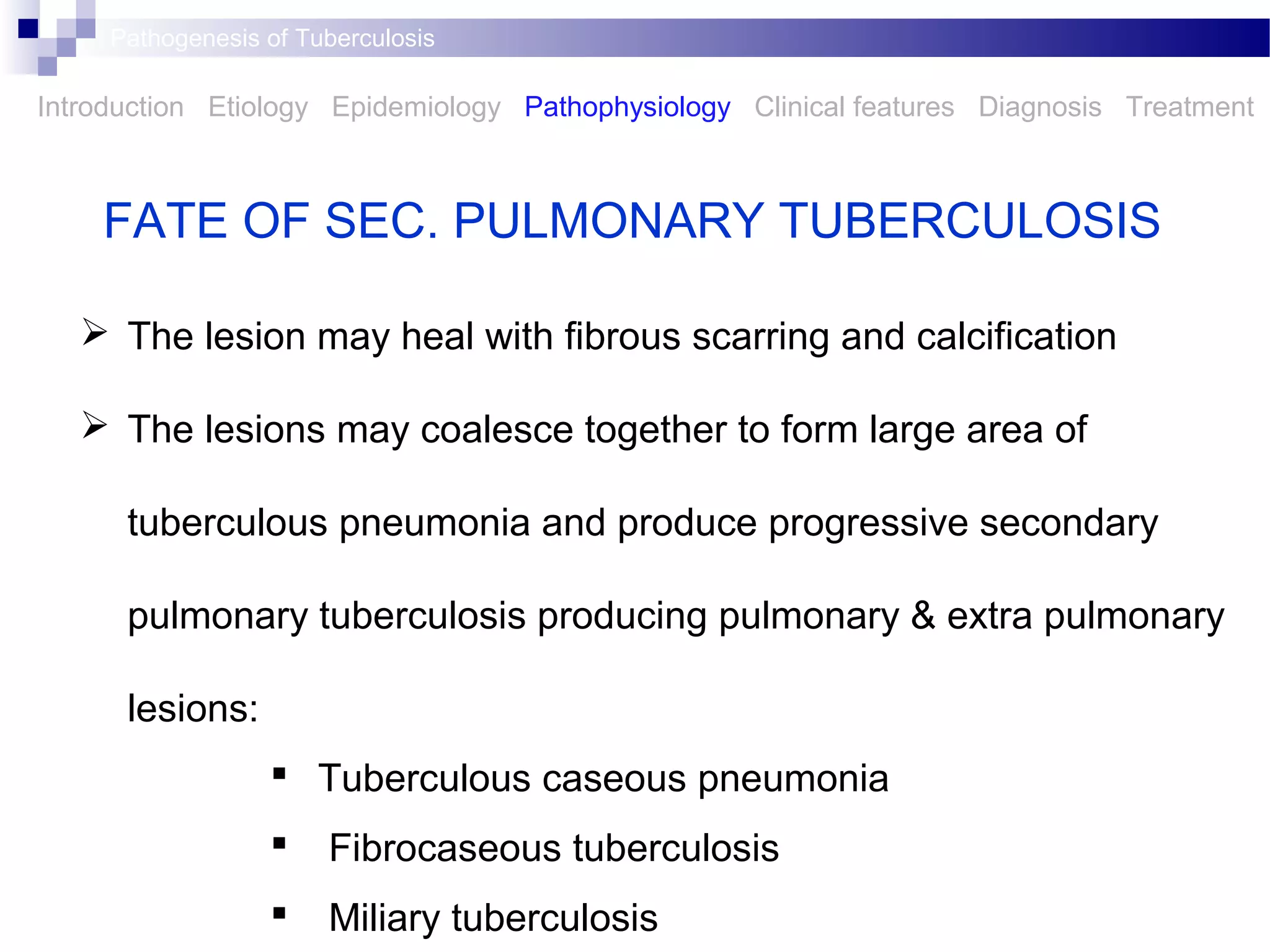 Pathogenesis of tuberculosis | PPT