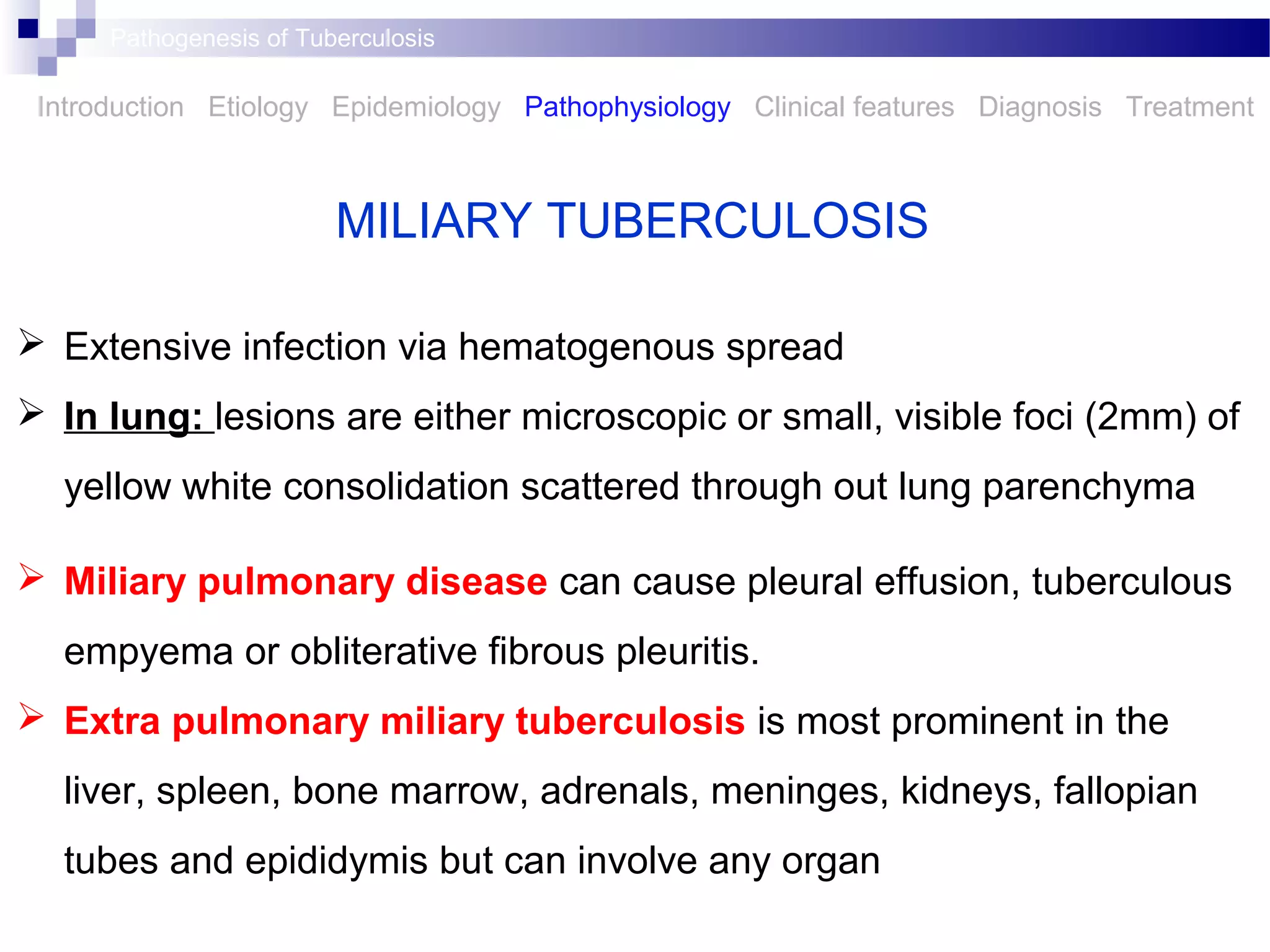 Pathogenesis of tuberculosis | PPT
