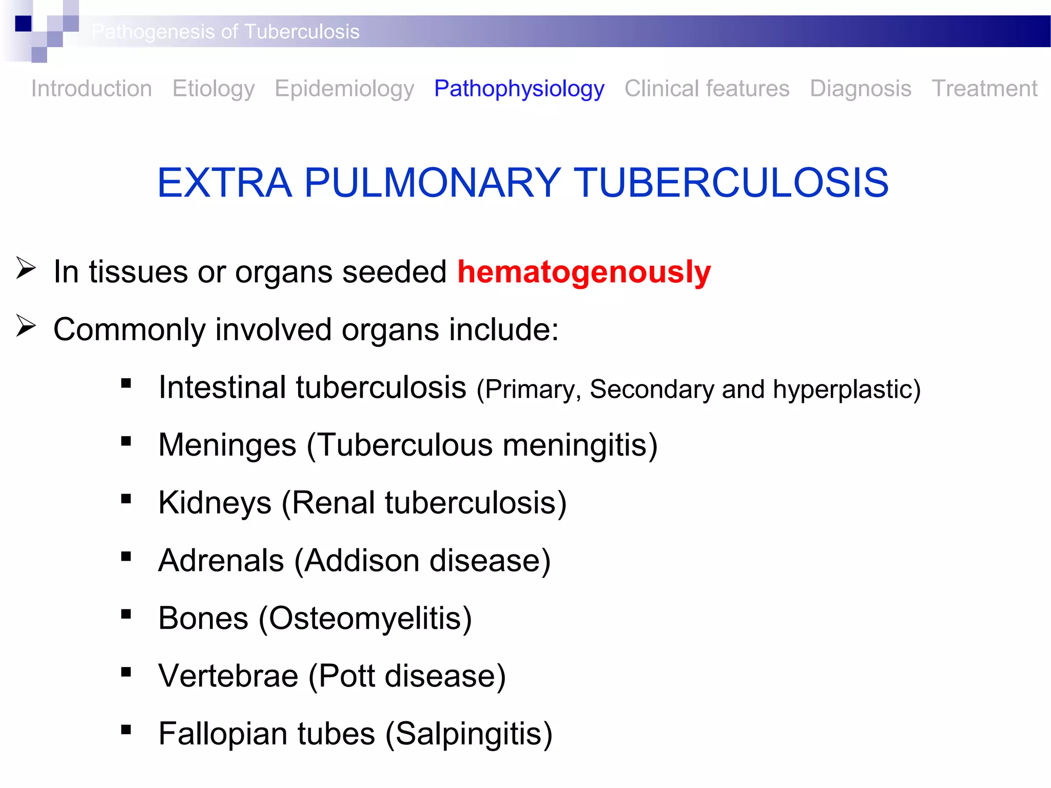 Pathogenesis of tuberculosis | PPT