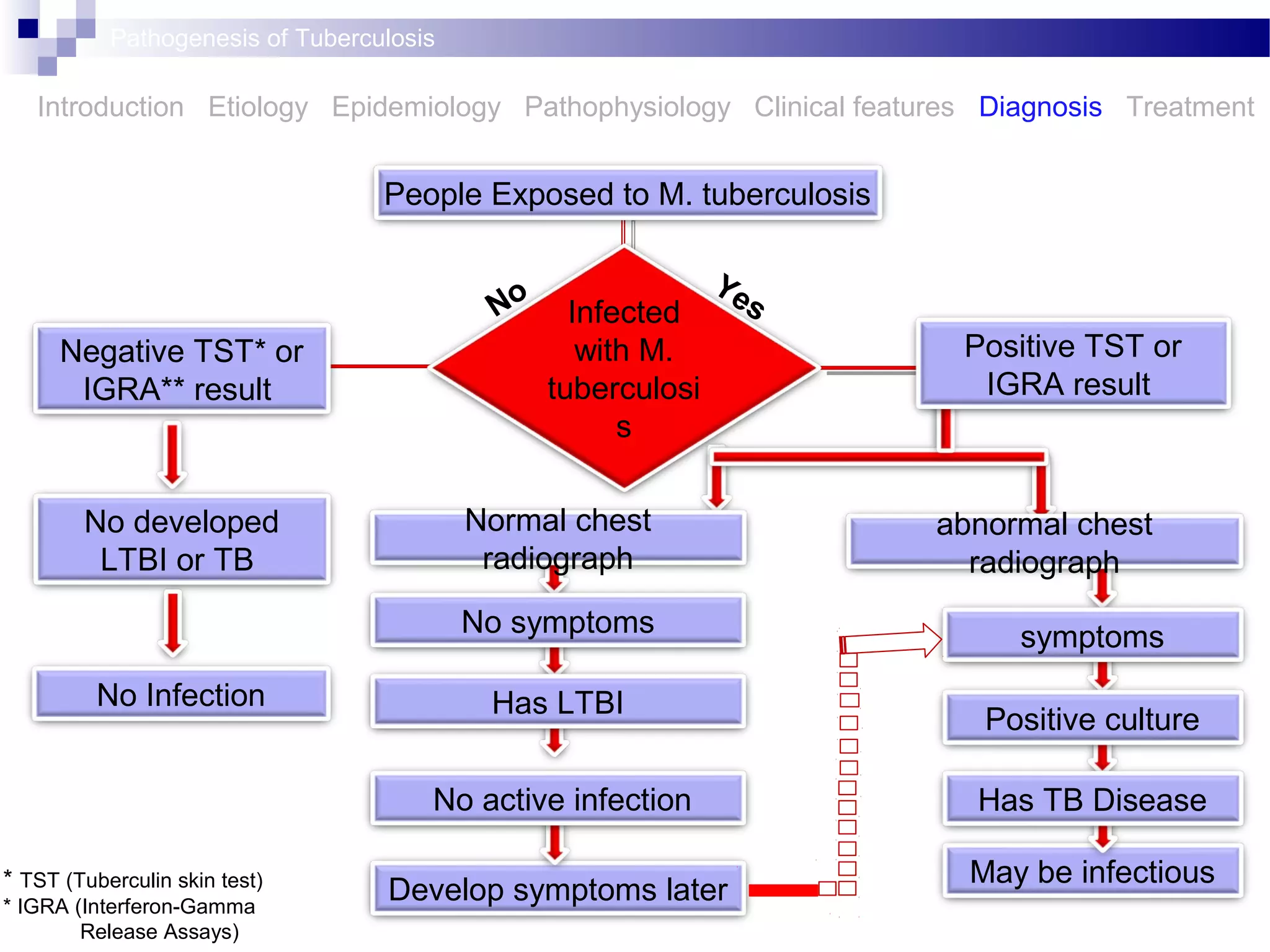 Pathogenesis of tuberculosis | PPT