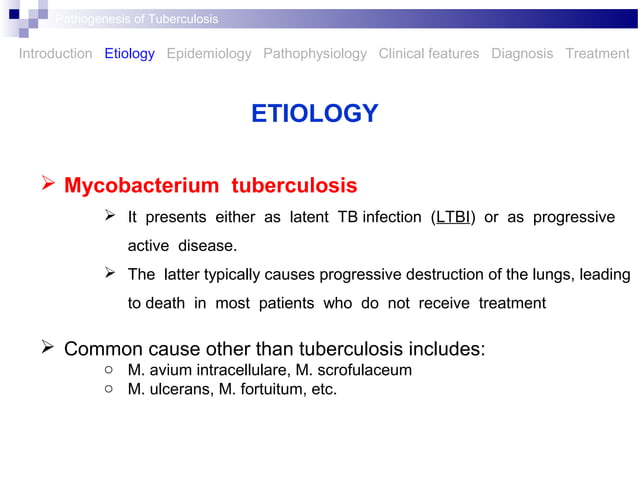 Pathogenesis of tuberculosis | PPT