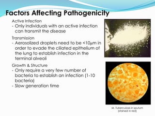 Tuberculosis | PPTX | Infectious Diseases | Diseases and Conditions