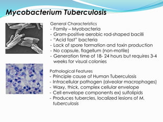 Tuberculosis | PPTX | Infectious Diseases | Diseases and Conditions