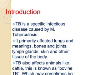 Tuberculosis | PPT