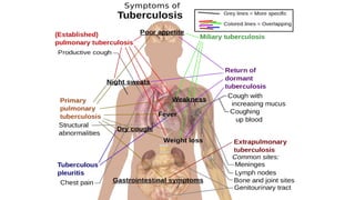Classification and prophylactics of tuberculosis | PPTX