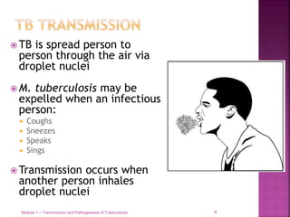Tuberculosis | PPTX