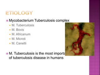 Tuberculosis | PPTX