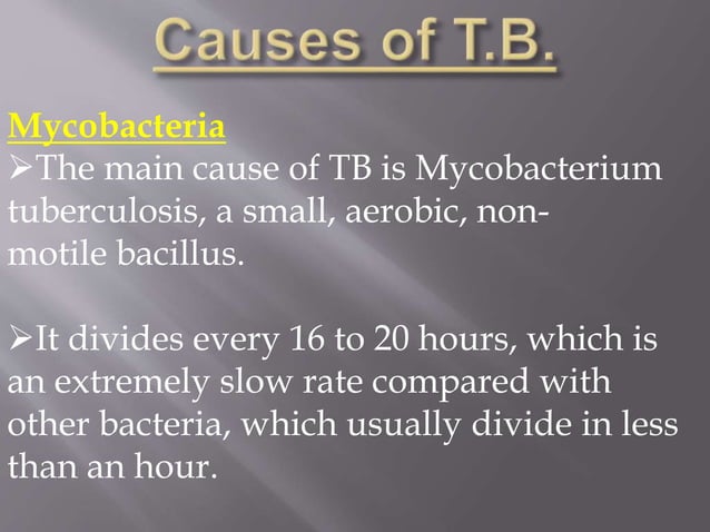 Awareness on Tuberculosis | PPSX