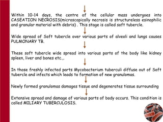 Tuberculoosis and antitubercular drugs | PPTX