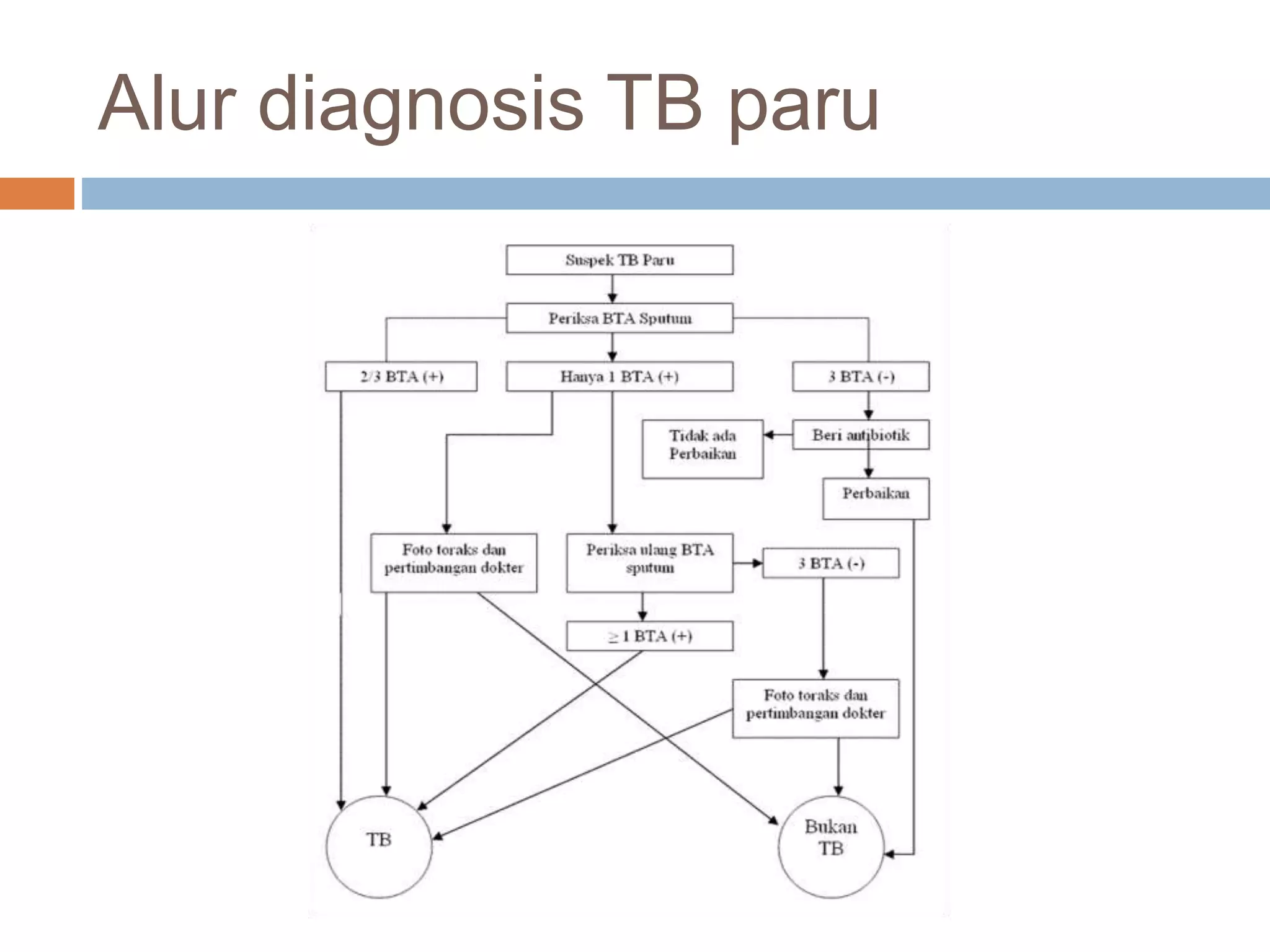 Tuberculosis | PPTX