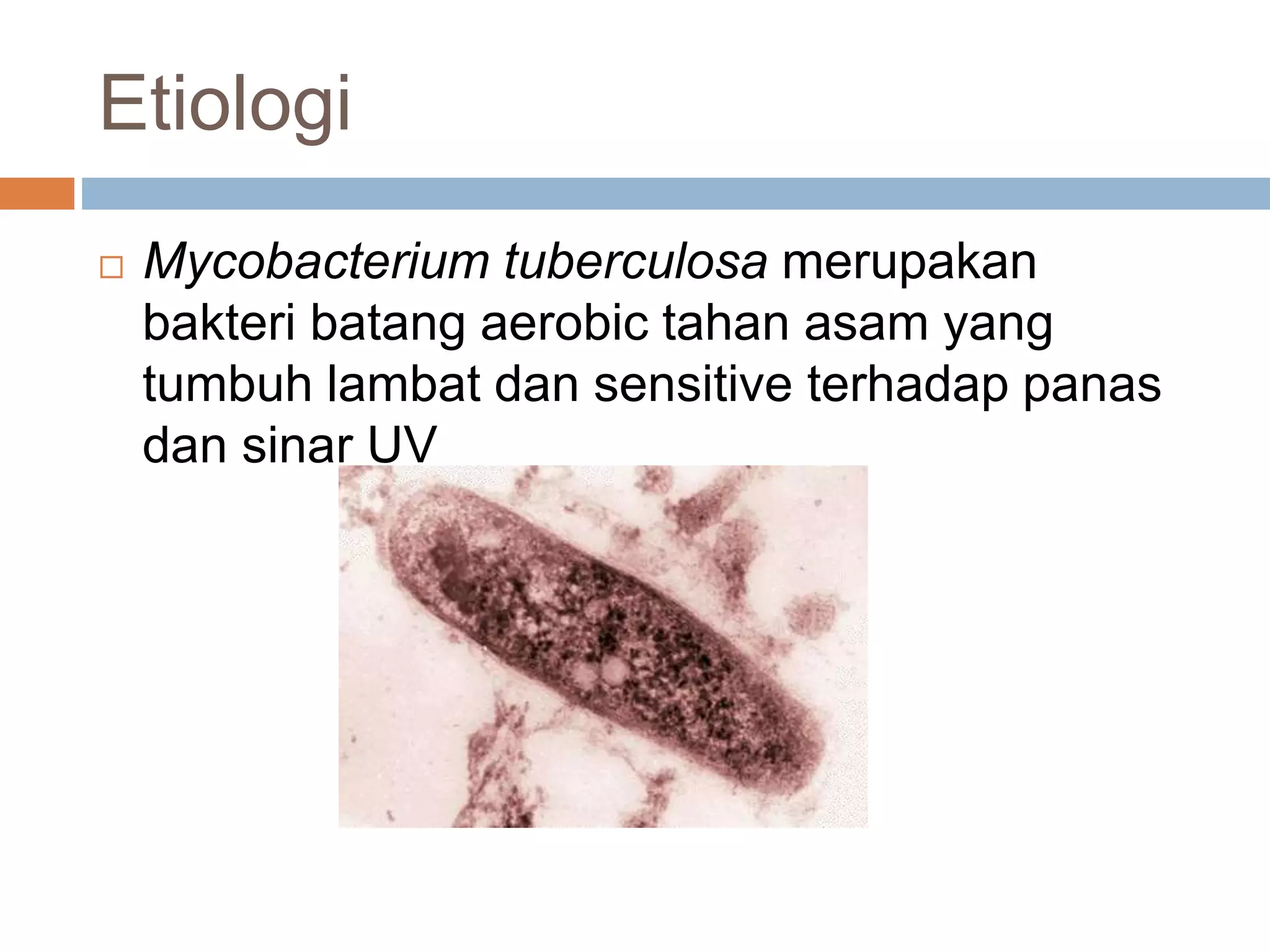 Tuberculosis | PPTX