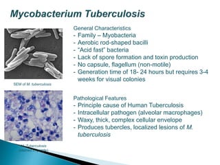Tuberculosis | PPT