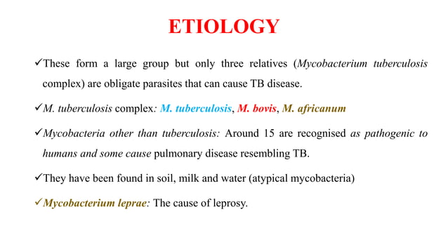 Pathophysiology of tuberculosis | PPTX | Infectious Diseases | Diseases ...