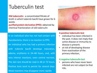 Mycobacterium tuerculae | PPT