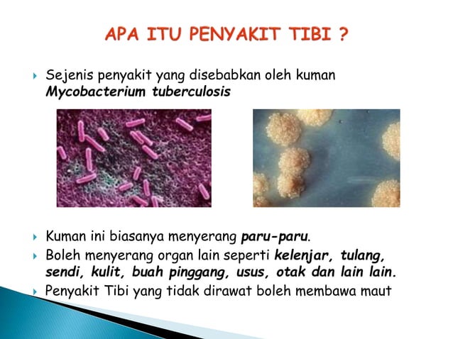 Tuberculosis slides | PPT
