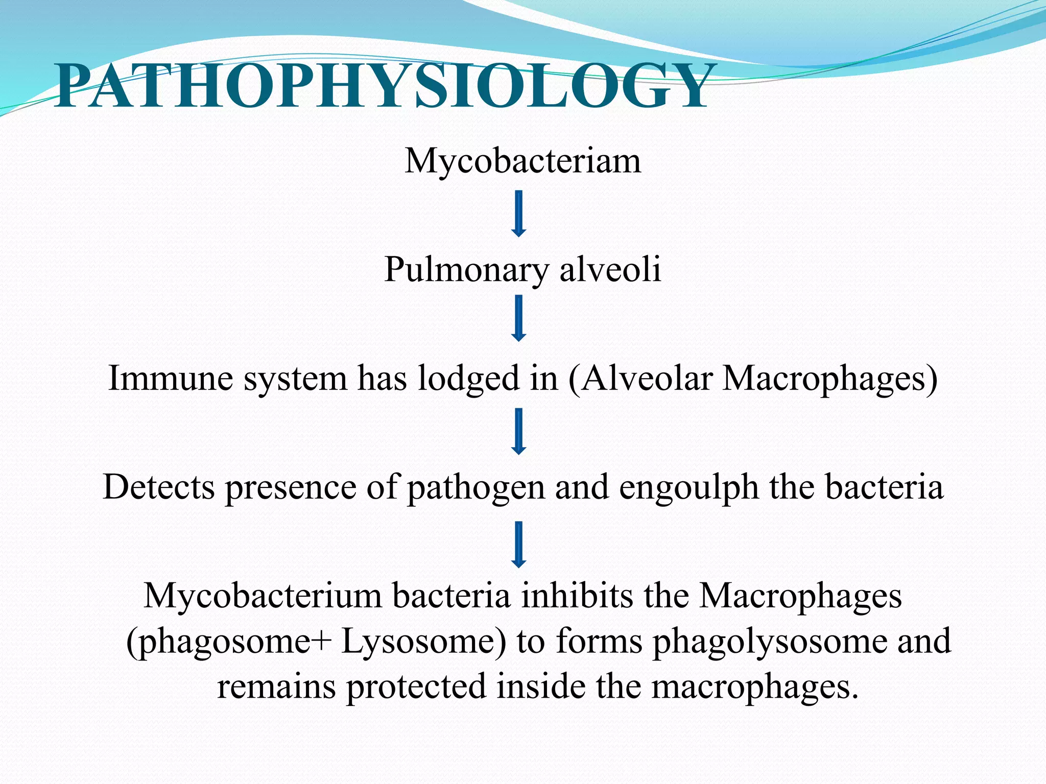 Tuberculosis | PPTX